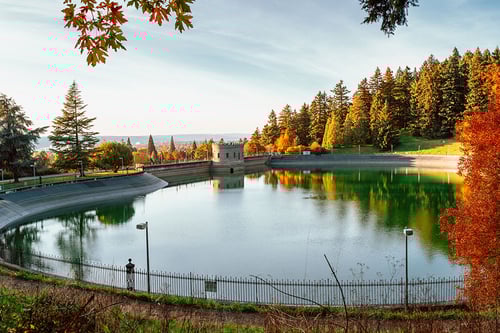 7 Creative Uses of Water in Architecture